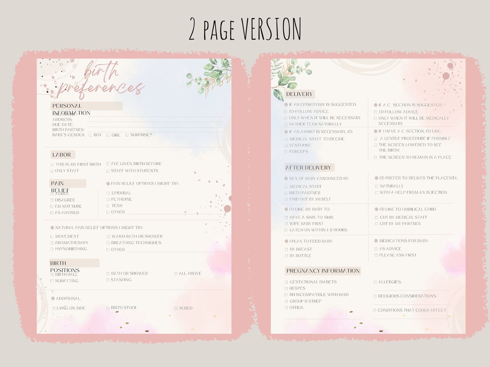 Birth Preferences Template Pregnant Journey Birth Plan Pinky Rose Gold ...