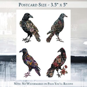 Crow Ephemera, Raven Clipart, Embroidered Crow Cutouts, Fussy Cuts Pack ...