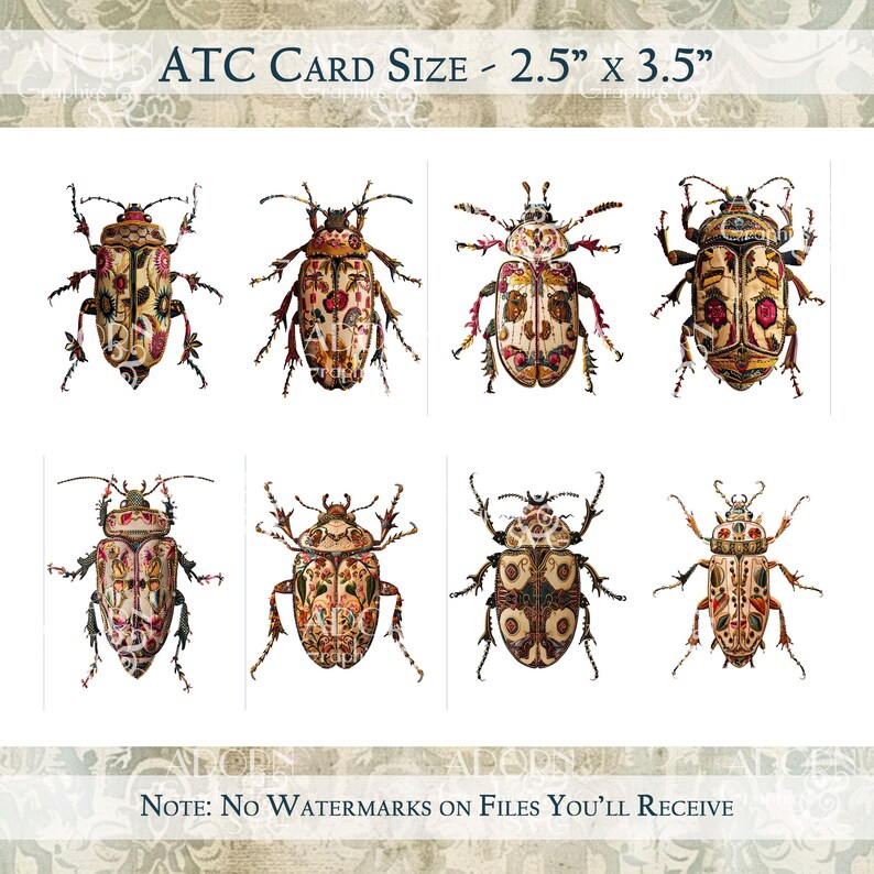 Beetle Ephemera, Bug Clipart, Embroidered Beetle Cutouts, Fussy Cuts ...