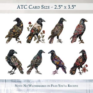 Crow Ephemera, Raven Clipart, Embroidered Crow Cutouts, Fussy Cuts Pack ...