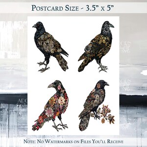 Crow Ephemera, Raven Clipart, Embroidered Crow Cutouts, Fussy Cuts Pack ...
