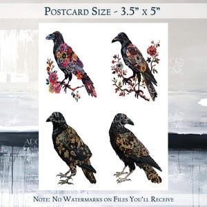 Crow Ephemera, Raven Clipart, Embroidered Crow Cutouts, Fussy Cuts Pack ...