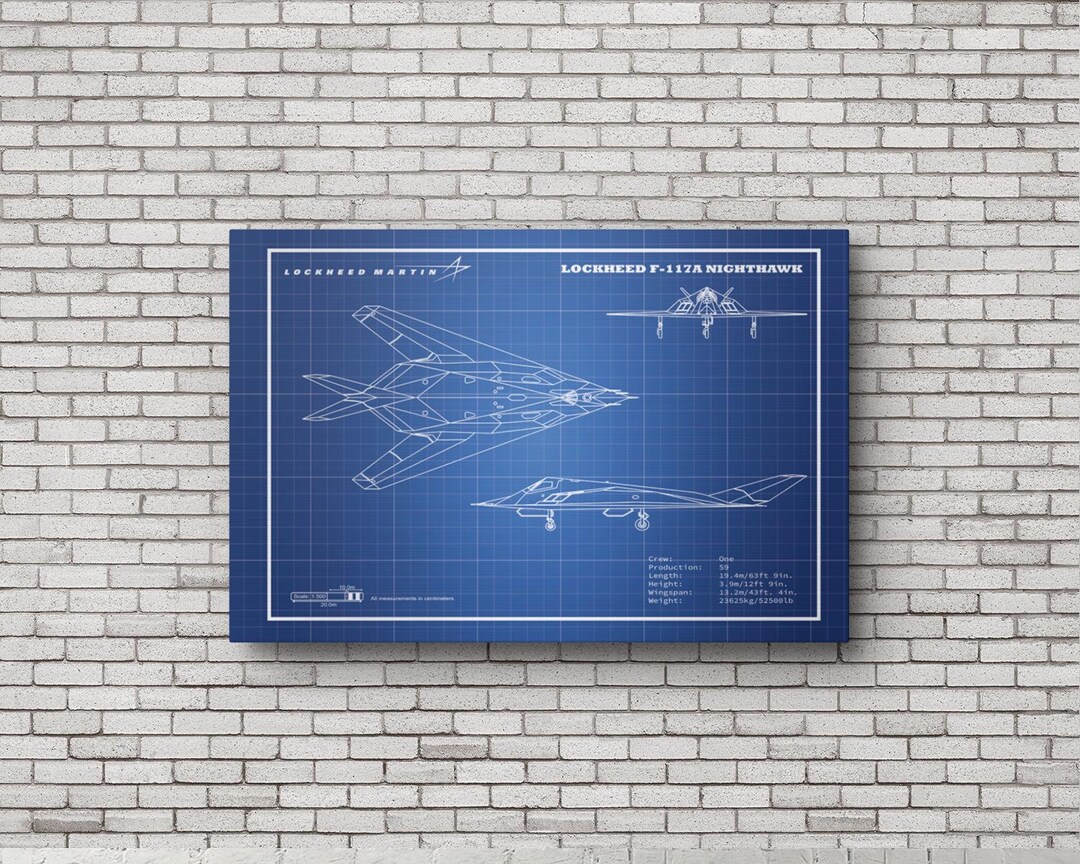 Plane Wall Art, Nighthawk Plane Art, Plane Gift, Plane Poster, Gift for ...