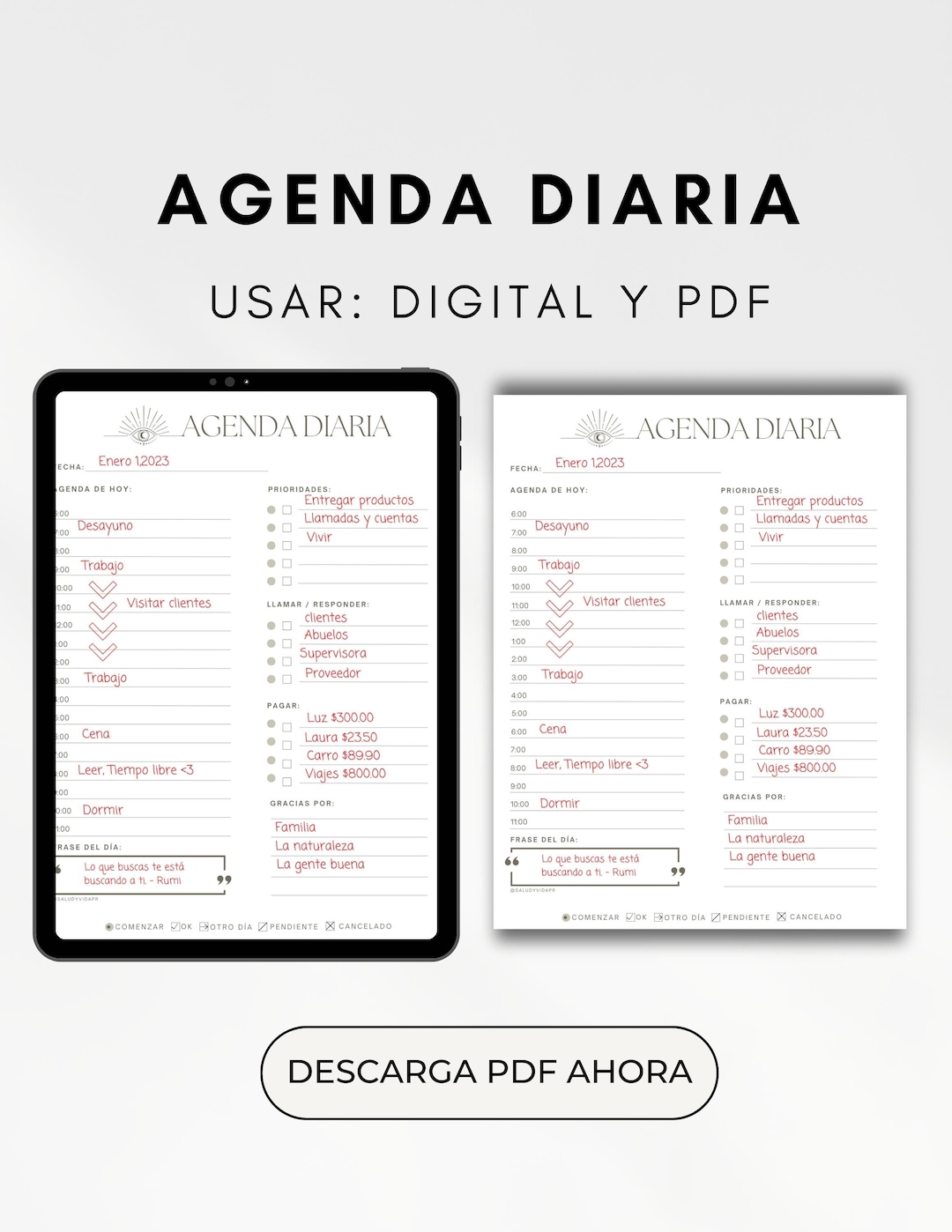 Agenda Diaria En PDF Para Imprimir En Español - Etsy