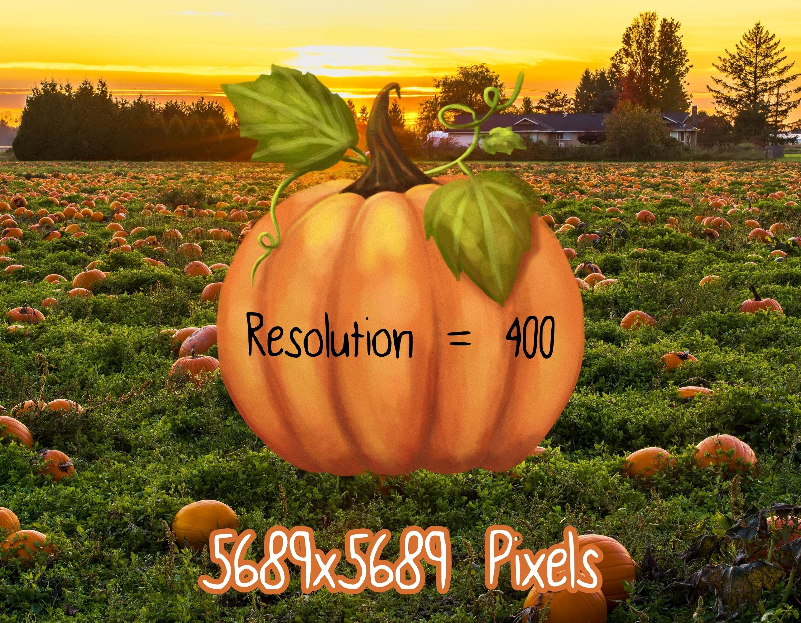 Pumpkin Patch: Cutesy Pumpkins With Faces PNG Pack of 40 - Etsy