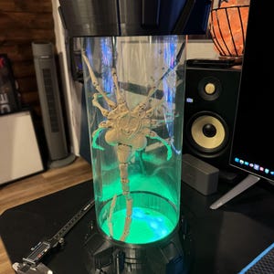 Large Alien Stasis Container Specimen Face Hugger Embryo Jar Movie Prop ...