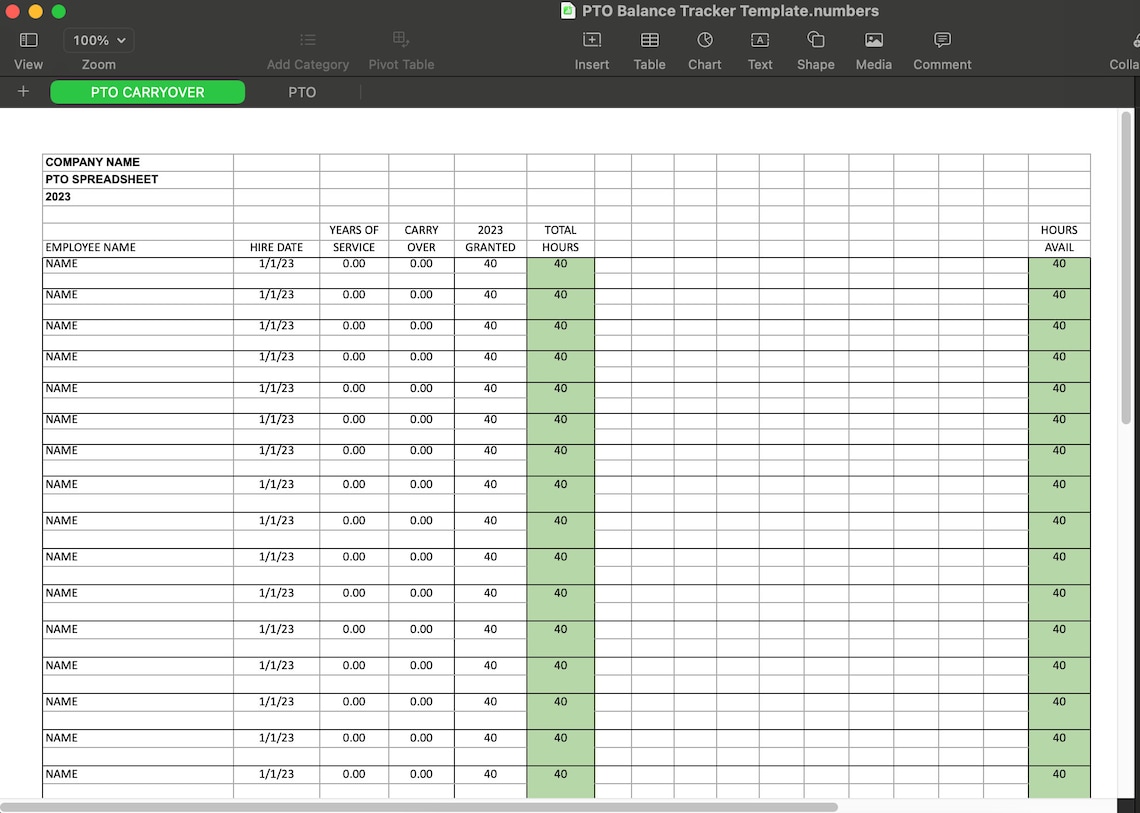PTO Tracker by Employee for Payroll Hours, Multiple Template ...