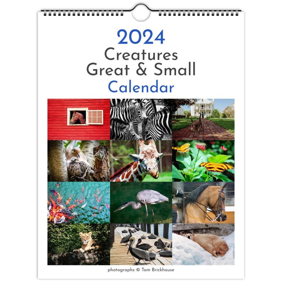 2024 Animals Wall Calendar Wildlife Wall Calendar Bird Wall Calendar - Etsy