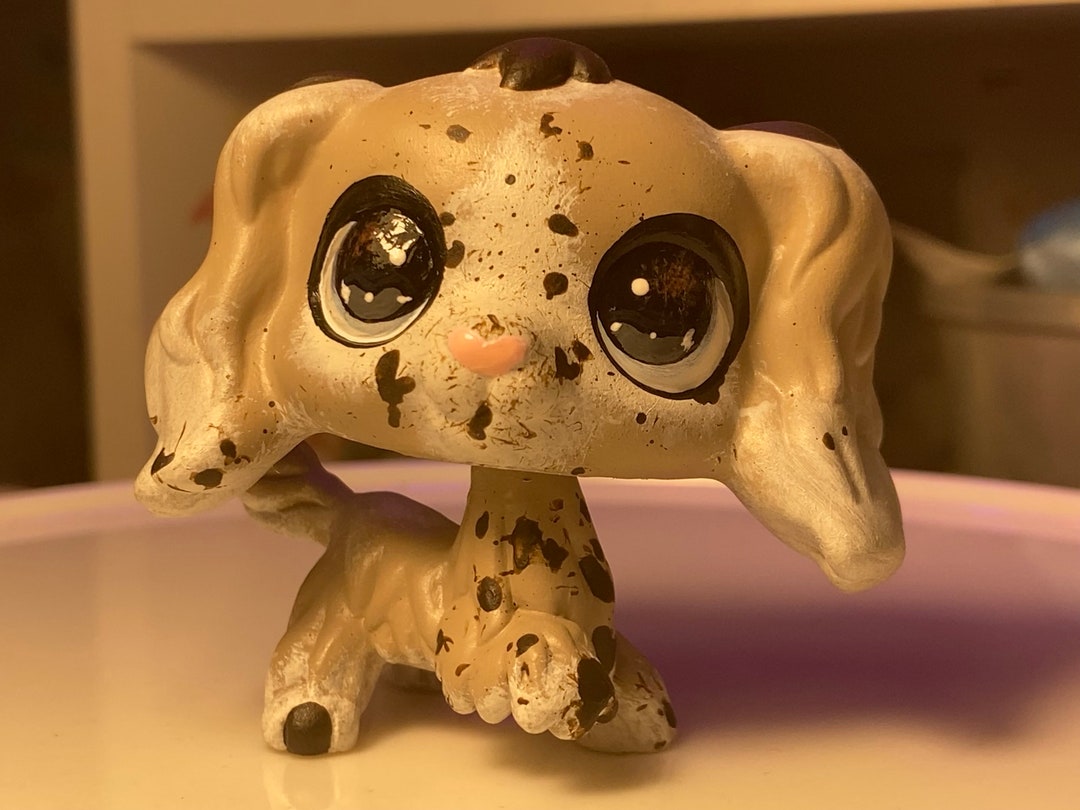 Lps Cocker Spaniel Collie Headswap Custom OOAK - Etsy