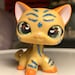 Lps 2118 Custom/ Repaint OOAK - Etsy