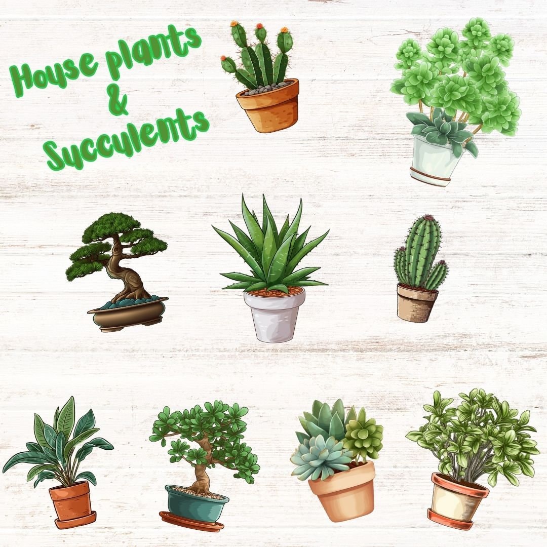 House Plants & Succulents Clip Art | PNG | Instant Download | Stickers ...