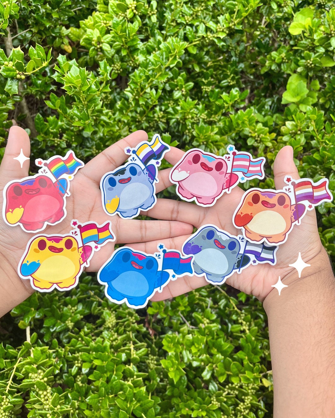Pride Frogs Sticker Set: LGBTQ+ Flags, Laminated Stickers - Etsy