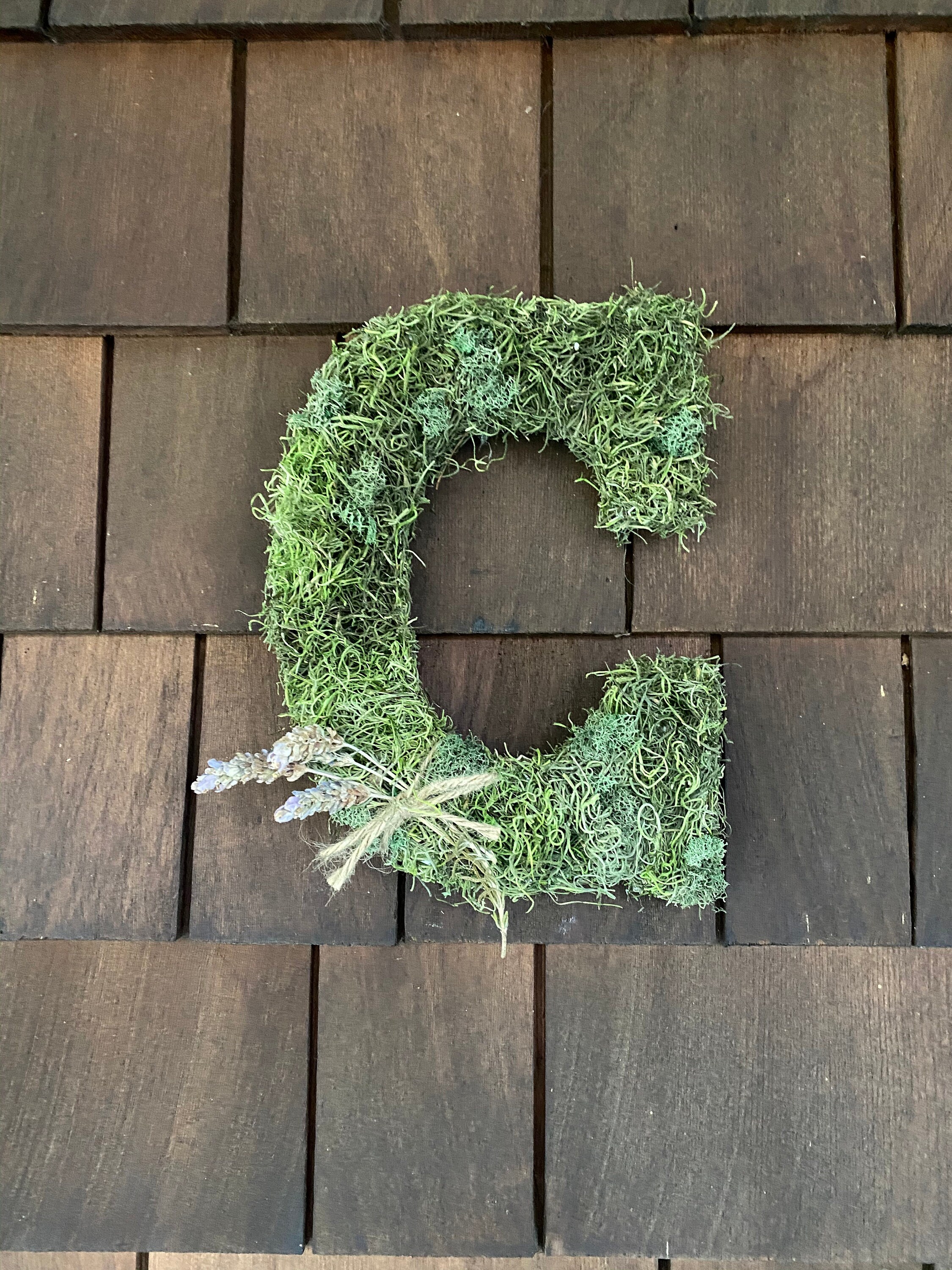 Custom Moss Letter - Etsy