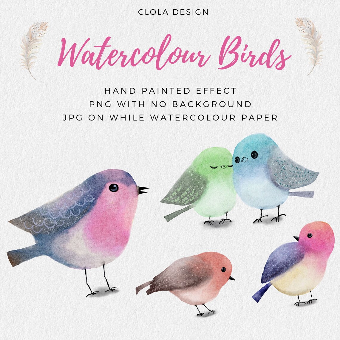 Watercolor Bird Png, Hand Drawn Watercolor Effect Digital Clip Art for ...
