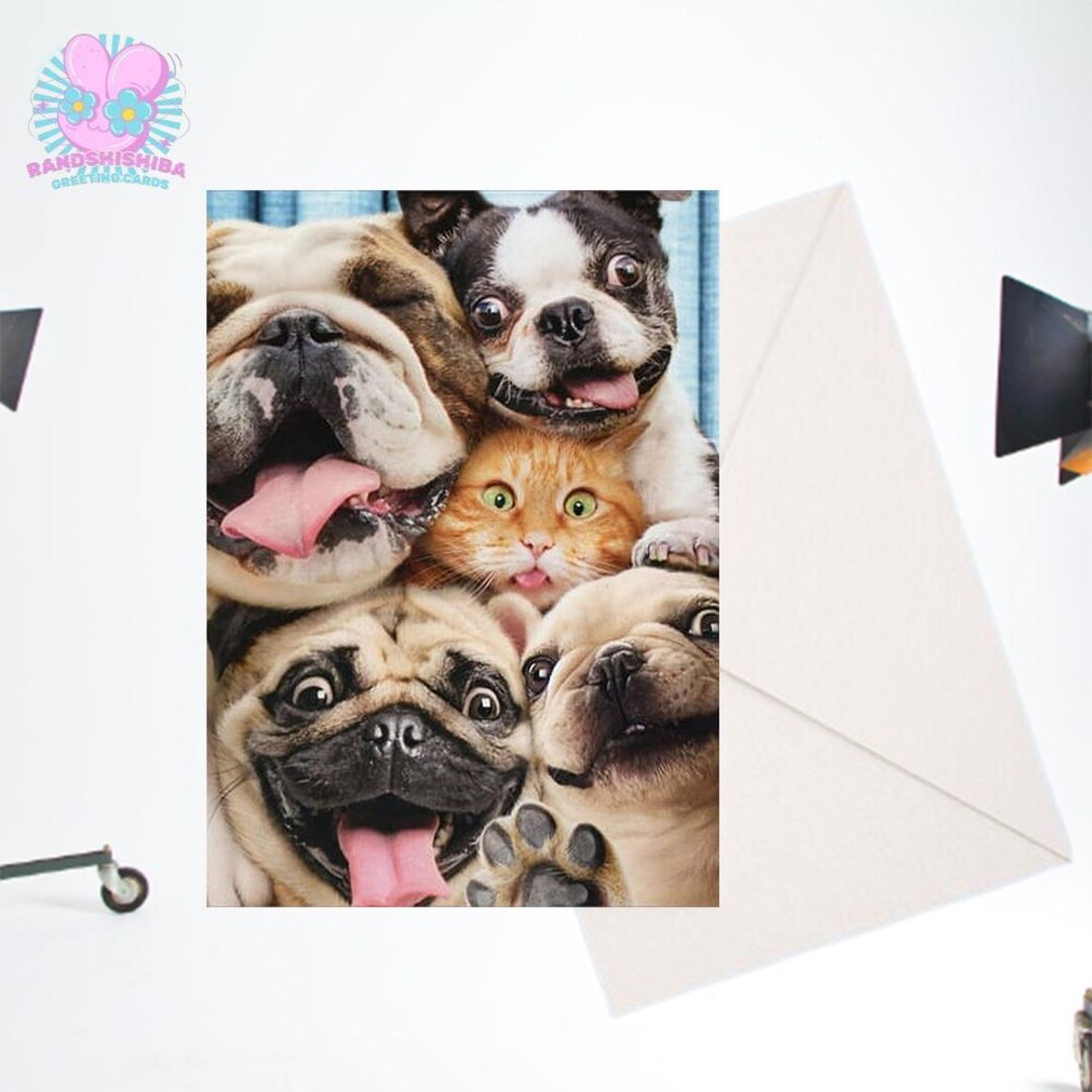 Dog & Cat Photo Booth Funny Pop up Stand Out Funny Birthday Card -pack ...