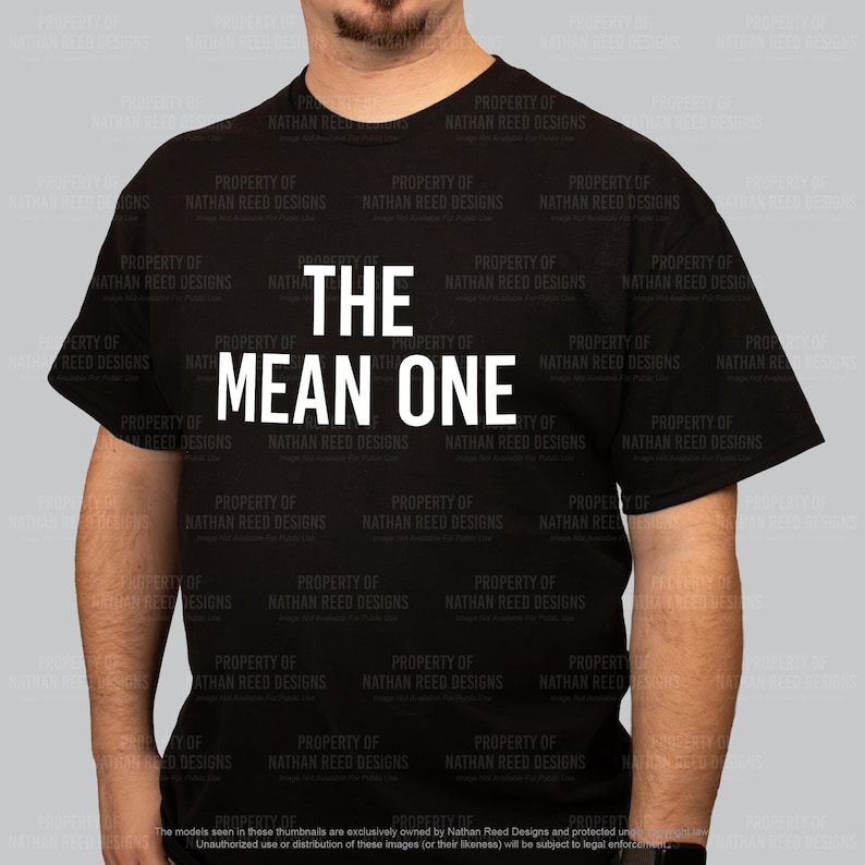 The Mean One the Nice One Shirts Matching Couples Unisex Graphic ...