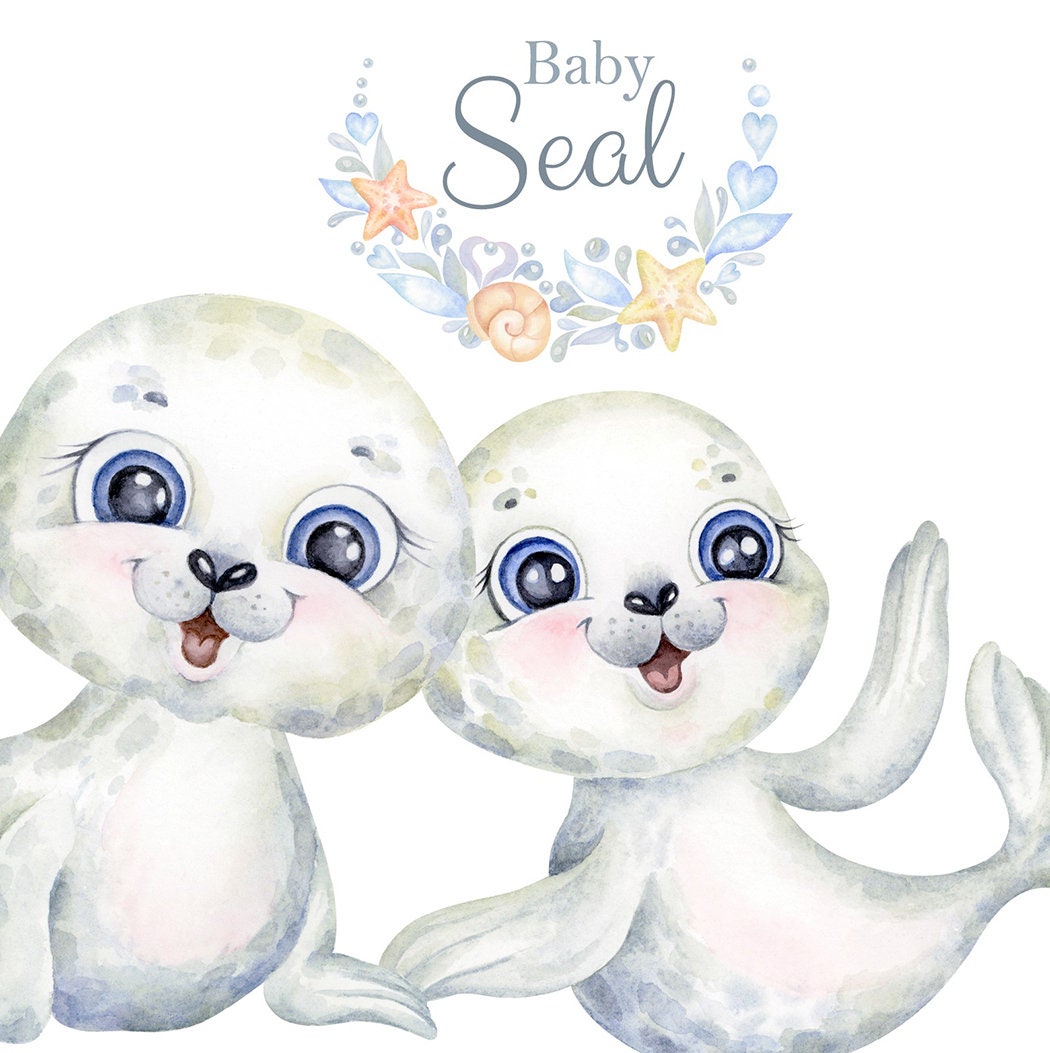 Baby Seal Watercolor Clipart, Cute Baby Seal PNG, Arctic Animals ...