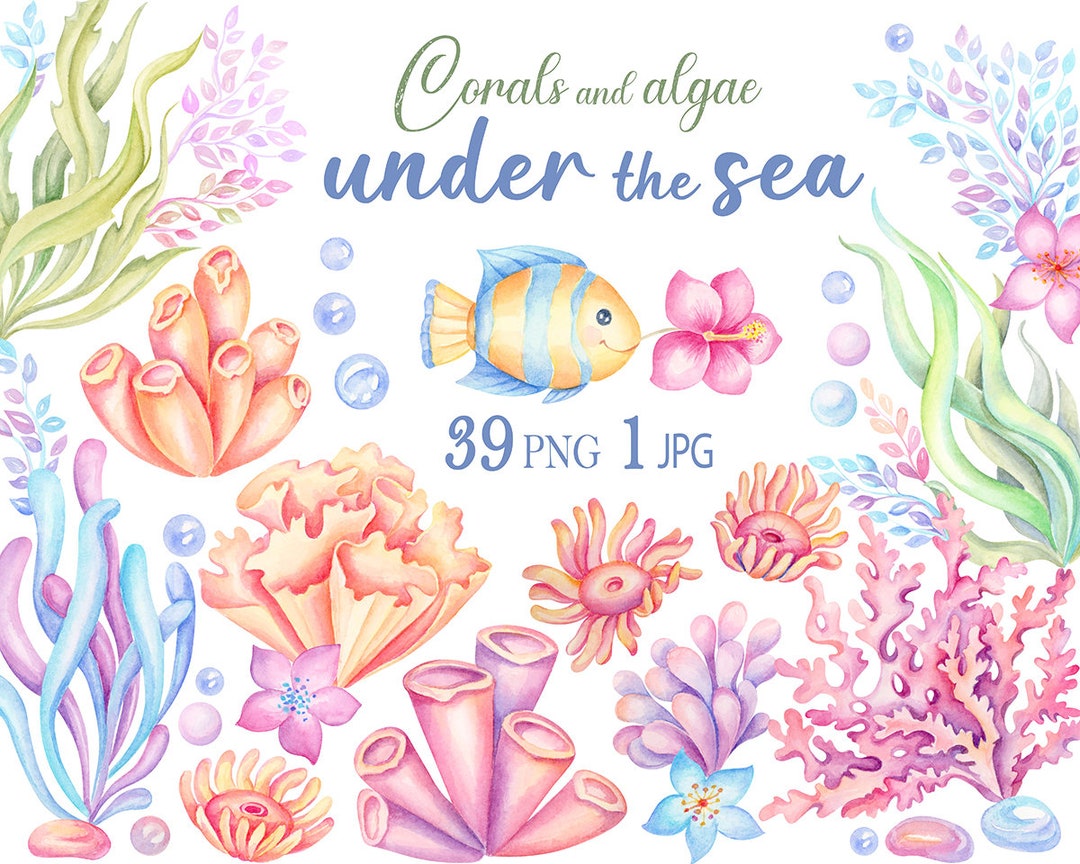 Under the Sea Clipart, Coral Reef PNG, Underwater Watercolor Clipart ...