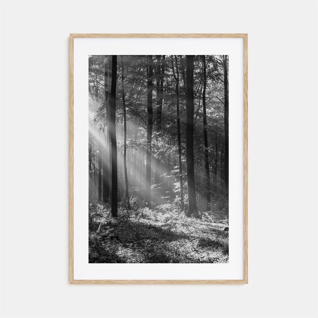 Forest Photo Poster Print, Forest Black and White Wall Art, Forest Wall ...