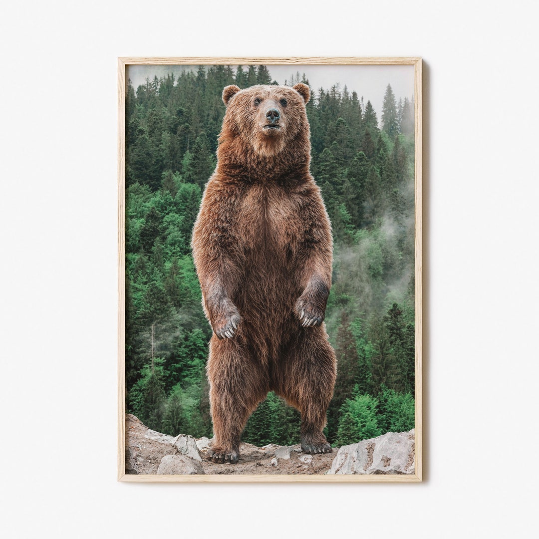 Brown Bear Colorful Poster Print No 1, Brown Bear Photo Wall Art, Wall ...