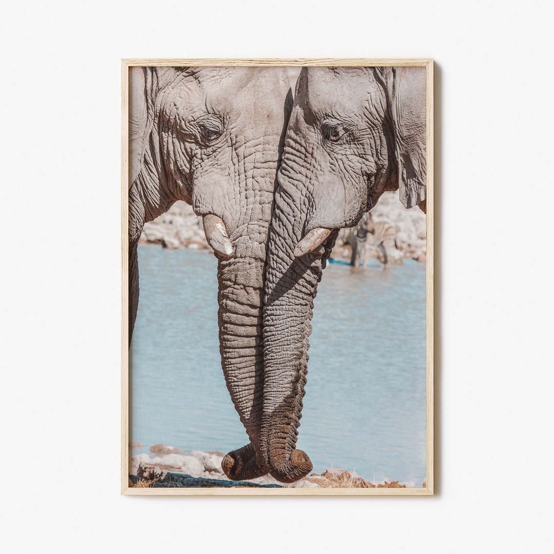 Elephant Couple Colorful Poster Print, Elephants Photo Wall Art, Wall ...