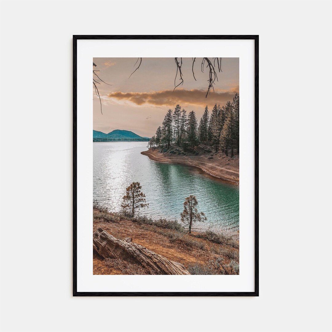 Davis Colorful Poster Print, Davis Photo Wall Art, Davis Wall Decor ...