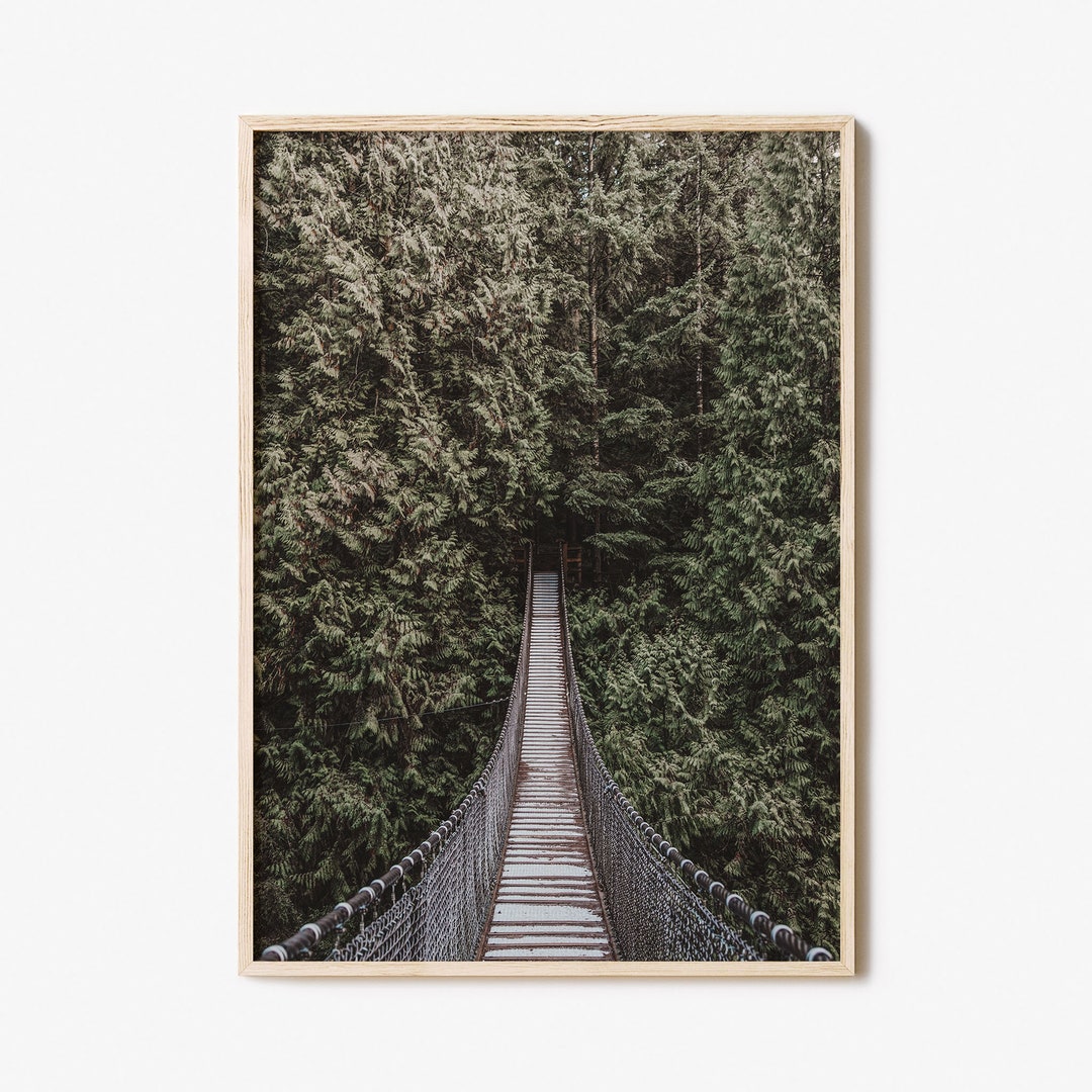 Hanging Bridge Colorful Poster Print, Hanging Bridge Photo Wall Art ...