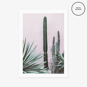 Cactus Pink Wall Colorful Poster Print, Cactus Photo Wall Art, Wall Art ...