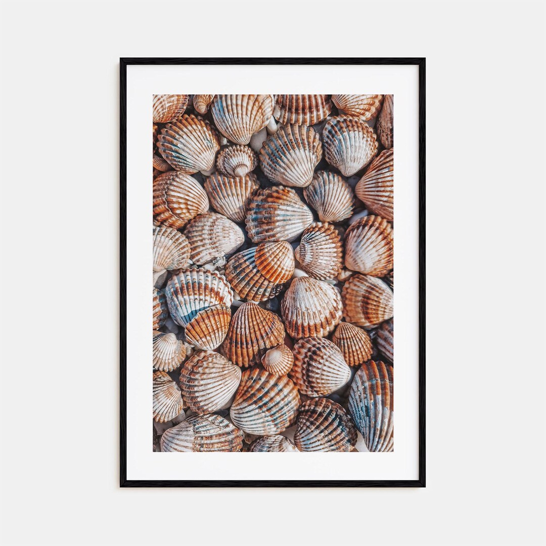 Seashells Colorful Poster Print, Seashells Photo Wall Art, Wall Art ...