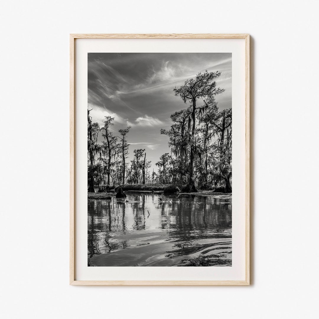 Louisiana Photo Poster Print, Louisiana Black and White Wall Art ...