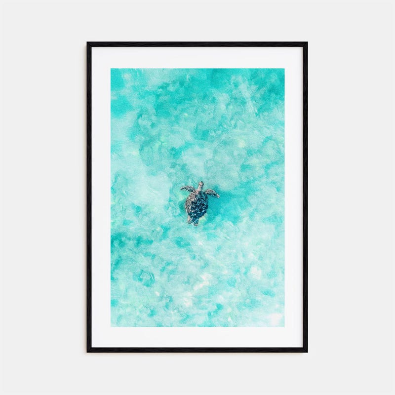 Sea Turtle Poster - Etsy
