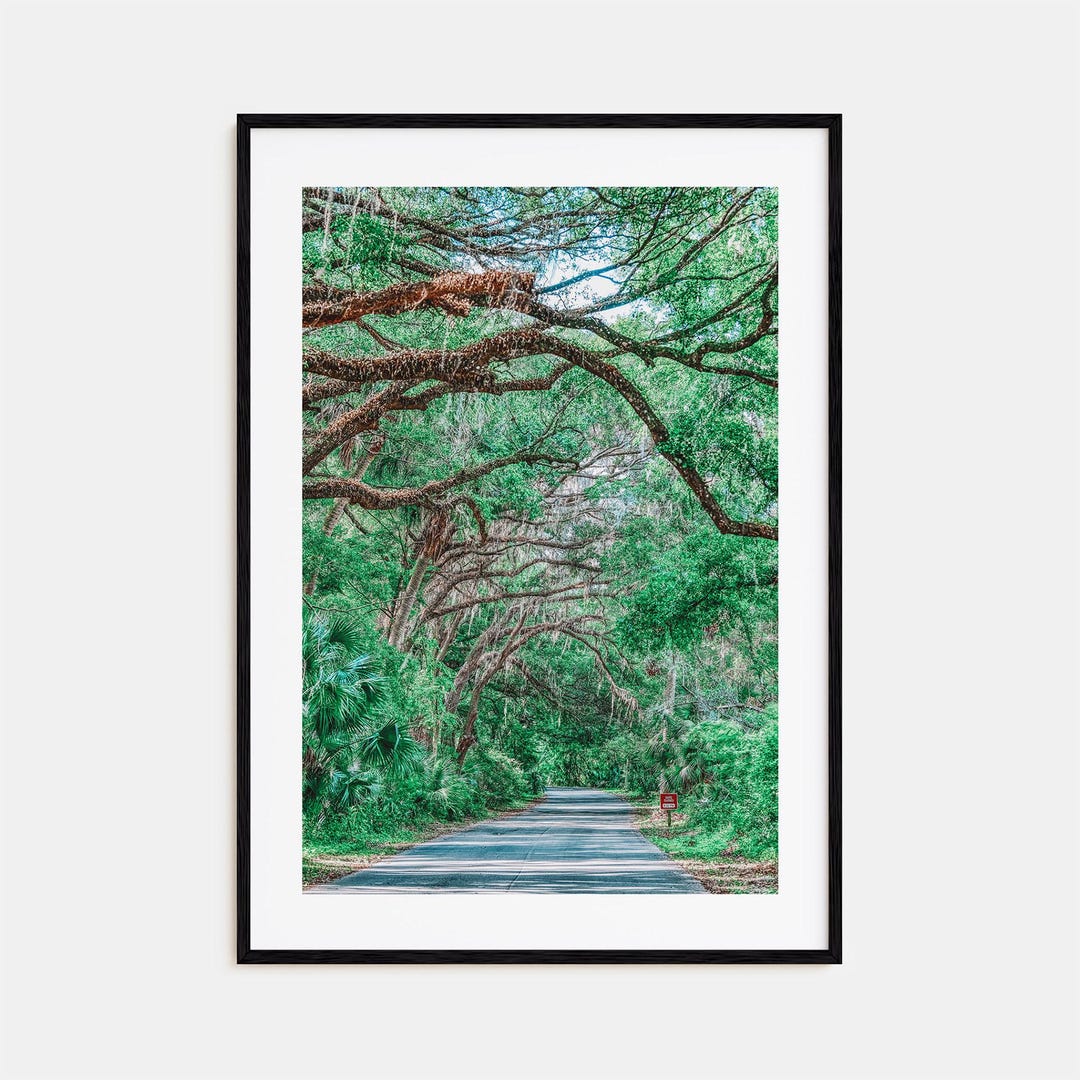 Gainesville Colorful Poster Print No 2, Gainesville Photo Art, Wall ...