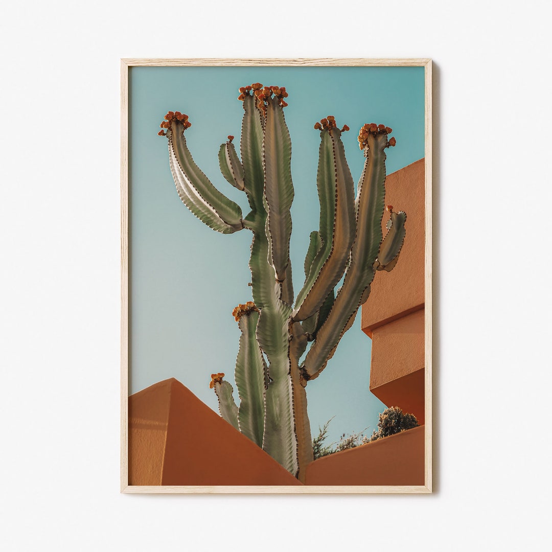 Blooming Cactus Sandy Walls Colorful Poster Print, Blooming Cactus ...
