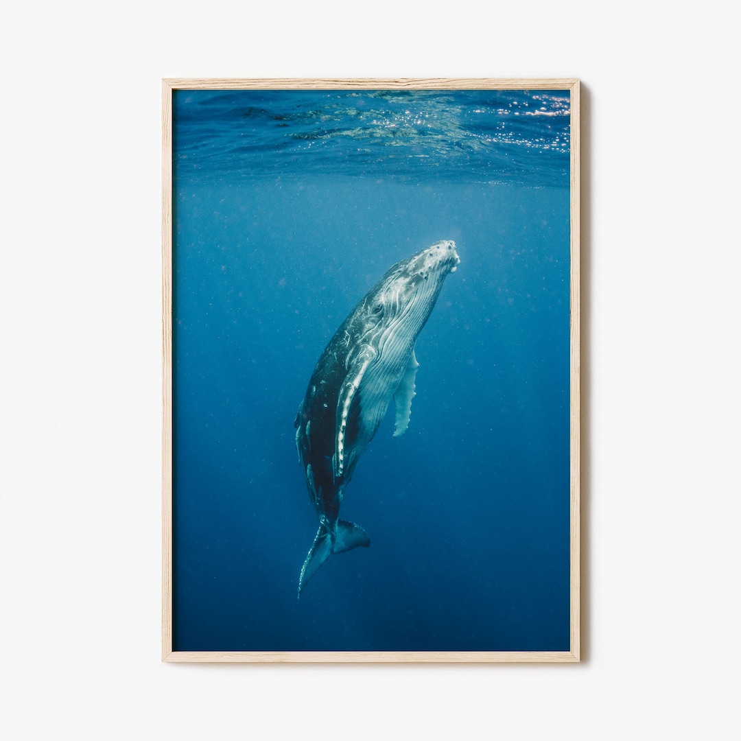 Wal bunter Poster Druck Nr. 2, Wal Foto Wandkunst, Wand Kunst Boho ...