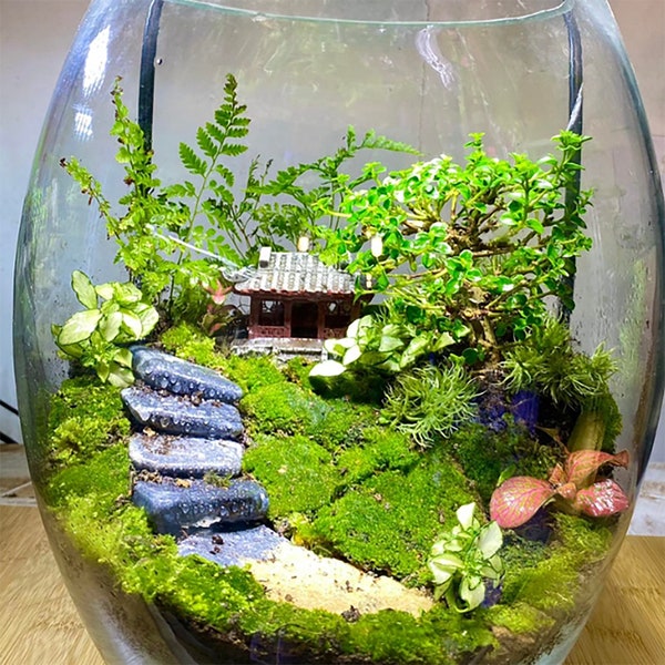 Mini Terrarium - Etsy