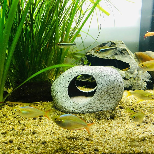 Aquarium Cave - Etsy