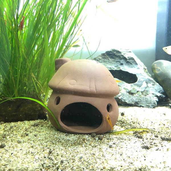 Fish Cave - Etsy