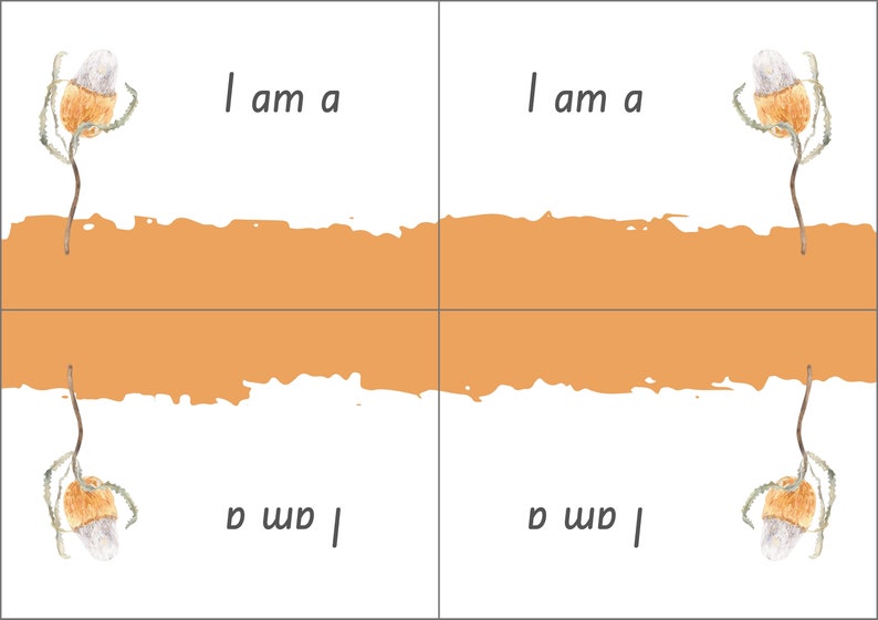EDITABLE: Affirmation Station Display Board in NSW and ACT Education ...
