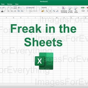 CUSTOMISEABLE Freak in the Sheets Digital File, Funny Excel Spreadsheet ...