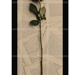 Zade Meadows Bookmarks | Haunting Adeline, Dark Romance (digital ...