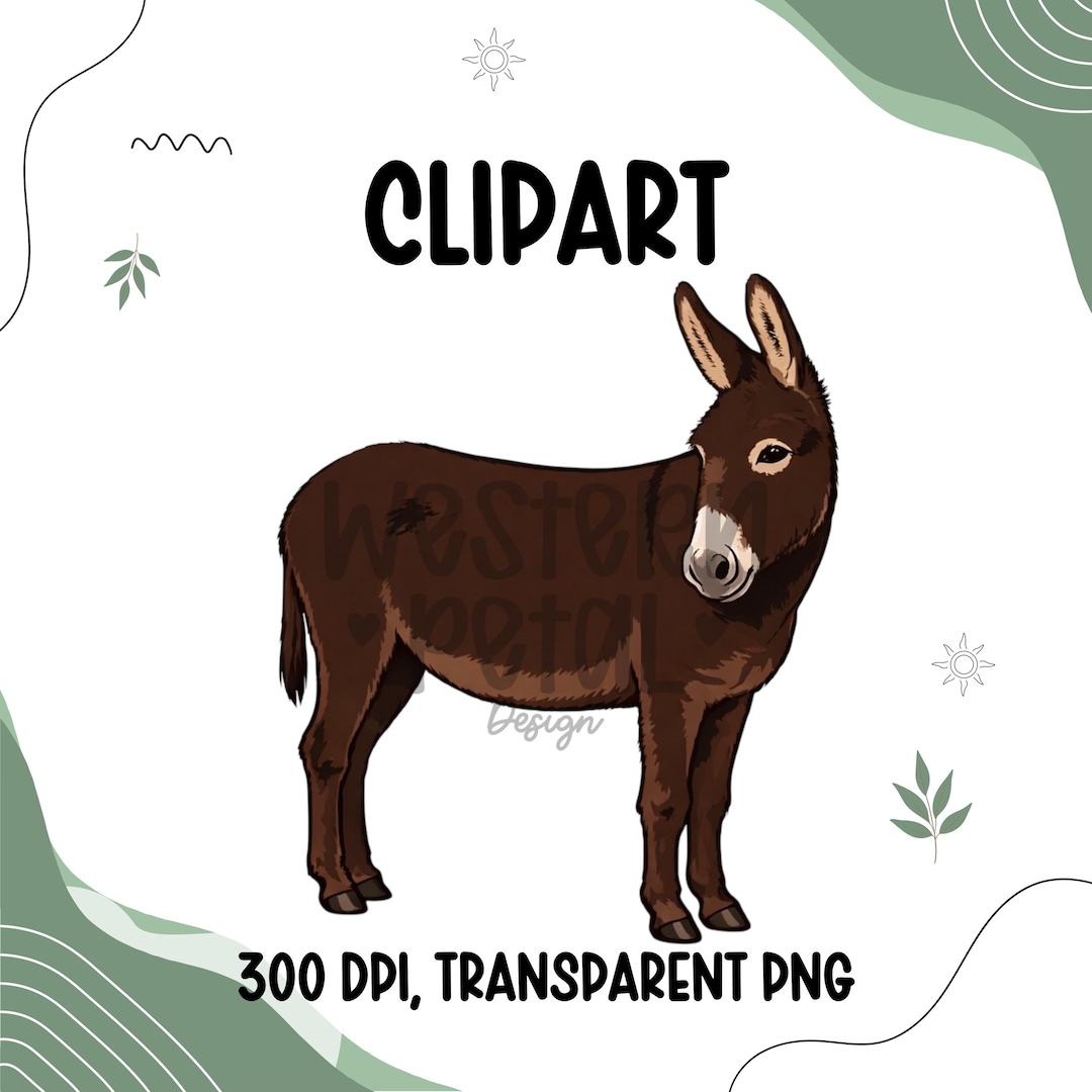Donkey Clipart PNG | Farm Animal Illustration | 300 DPI Transparent - Etsy