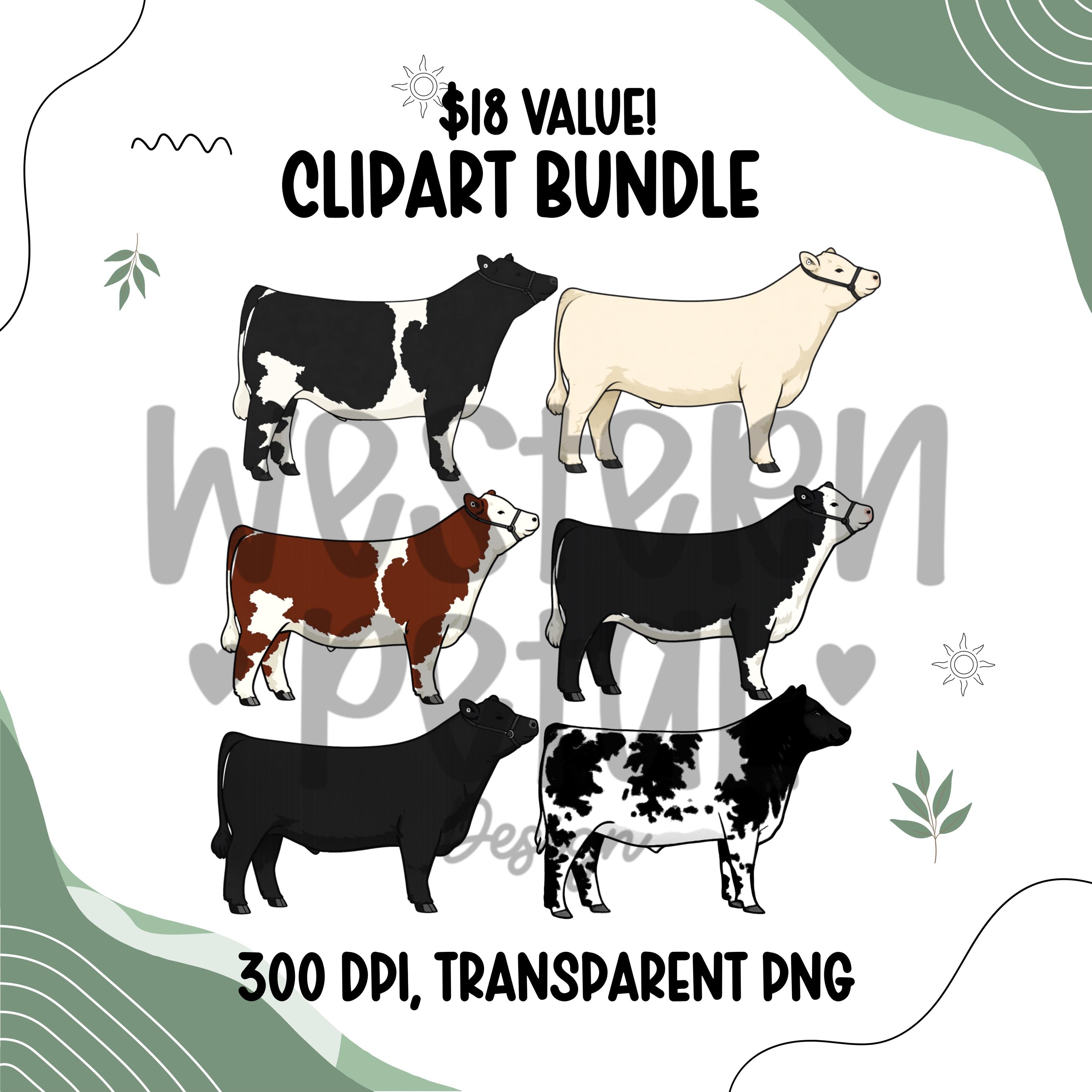 Show Steer Clipart Bundle, Farm Animal PNG Graphics (300 DPI ...