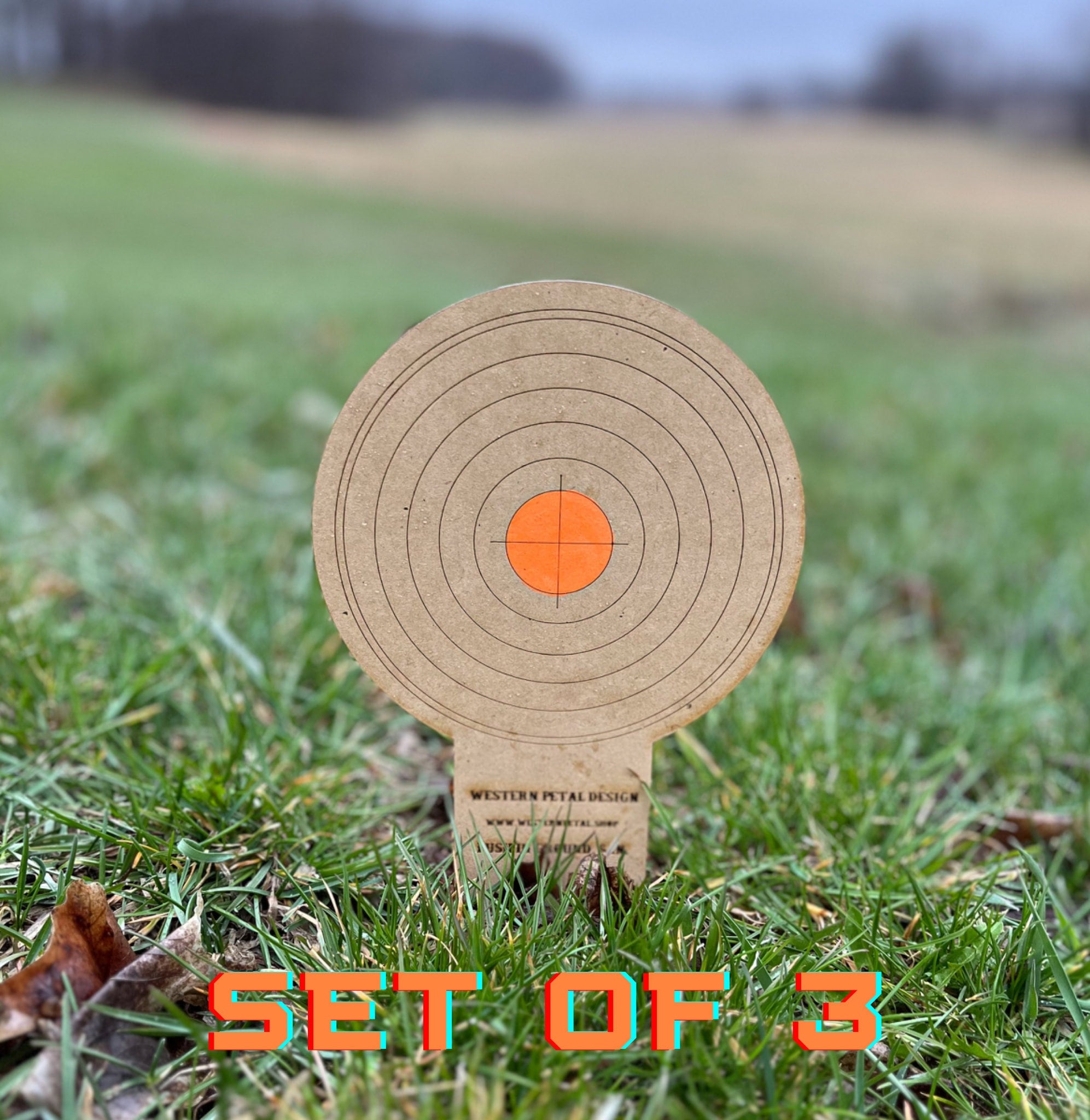 Shooting Target Stick in Ground Laser Cut for Rifle, Pistol, Rimfire - Etsy