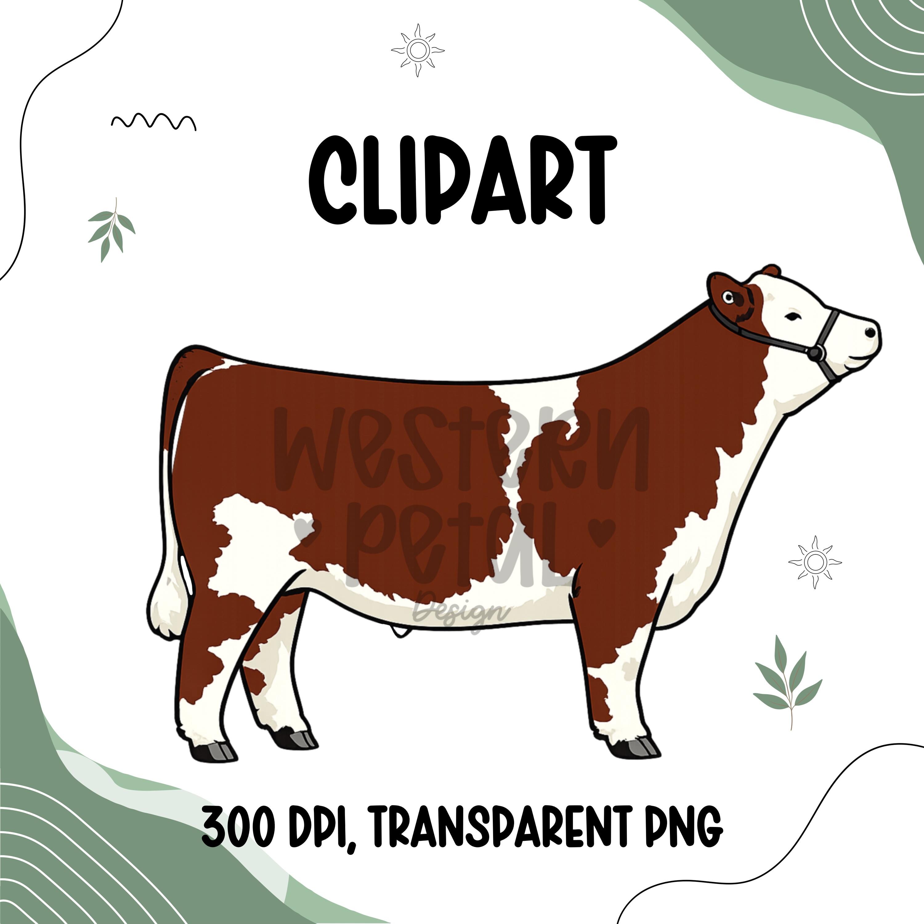 Show Steer Clipart Bundle, Farm Animal PNG Graphics (300 DPI ...