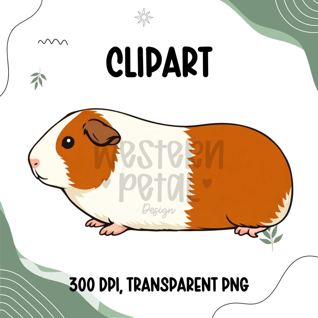 Guinea Pig Clipart PNG, 4H Livestock Clipart, Show Guinea Pig ...