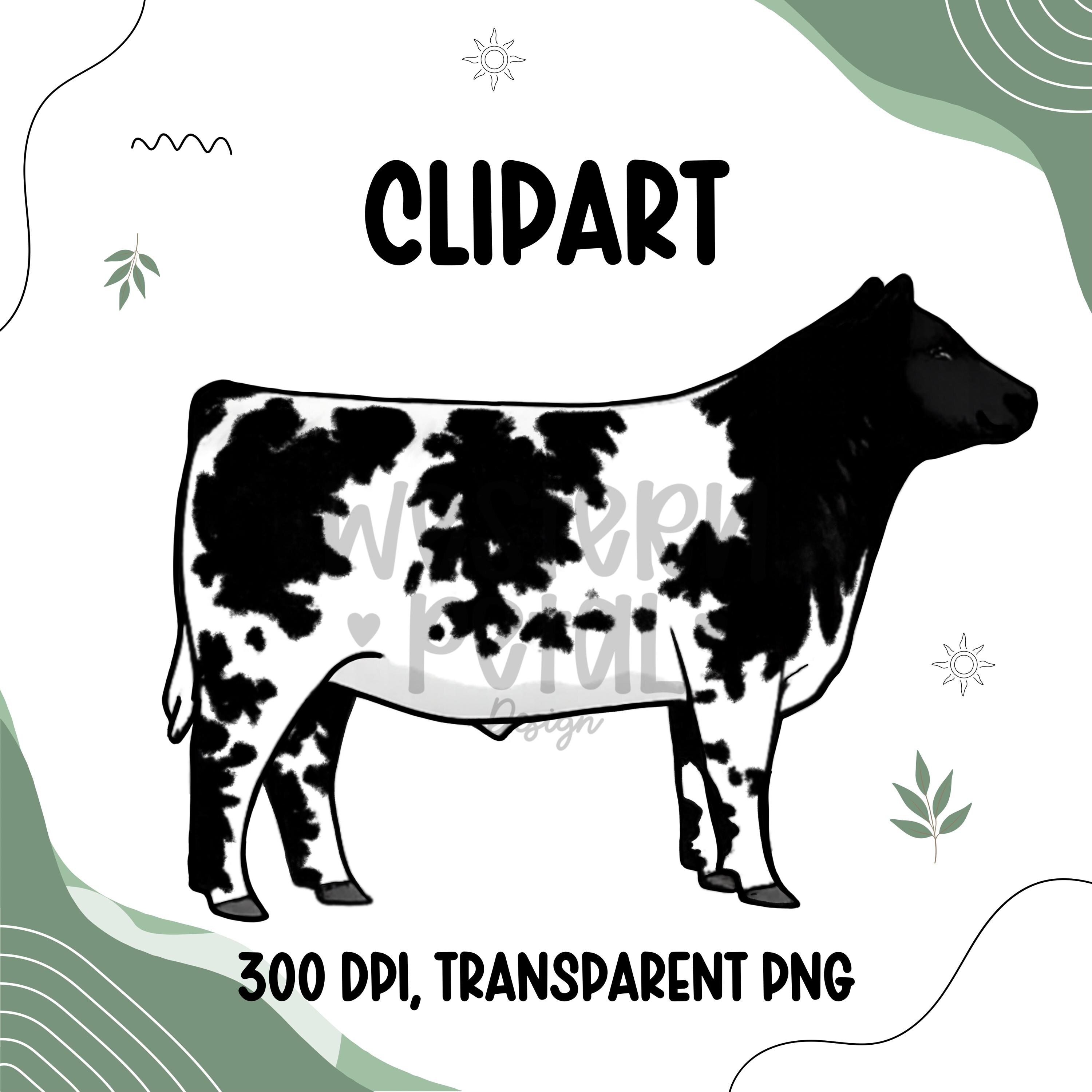 Show Steer Clipart Bundle, Farm Animal PNG Graphics (300 DPI ...