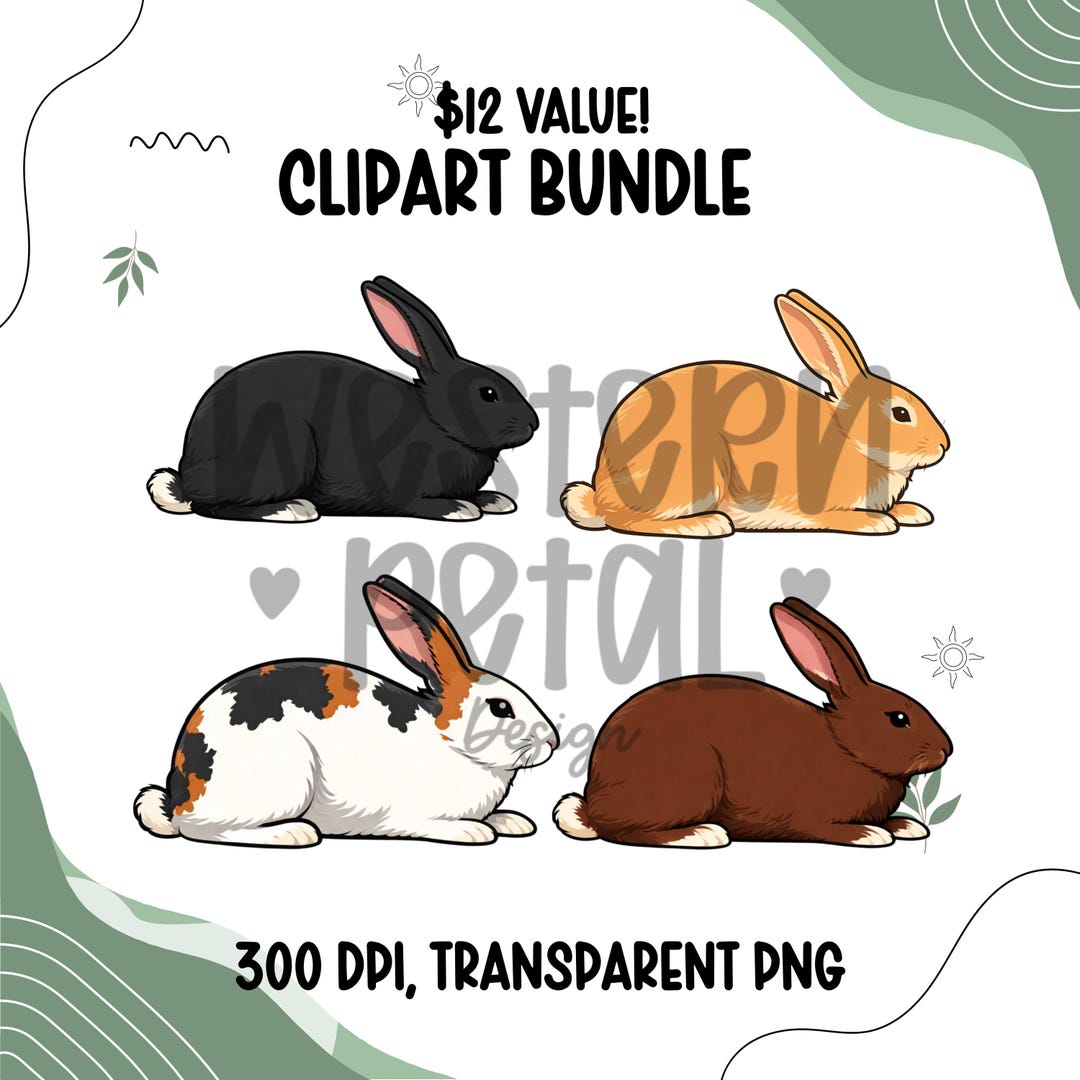 Show Bunny Clipart Bundle, Farm Animal PNG Graphics (digital Download ...