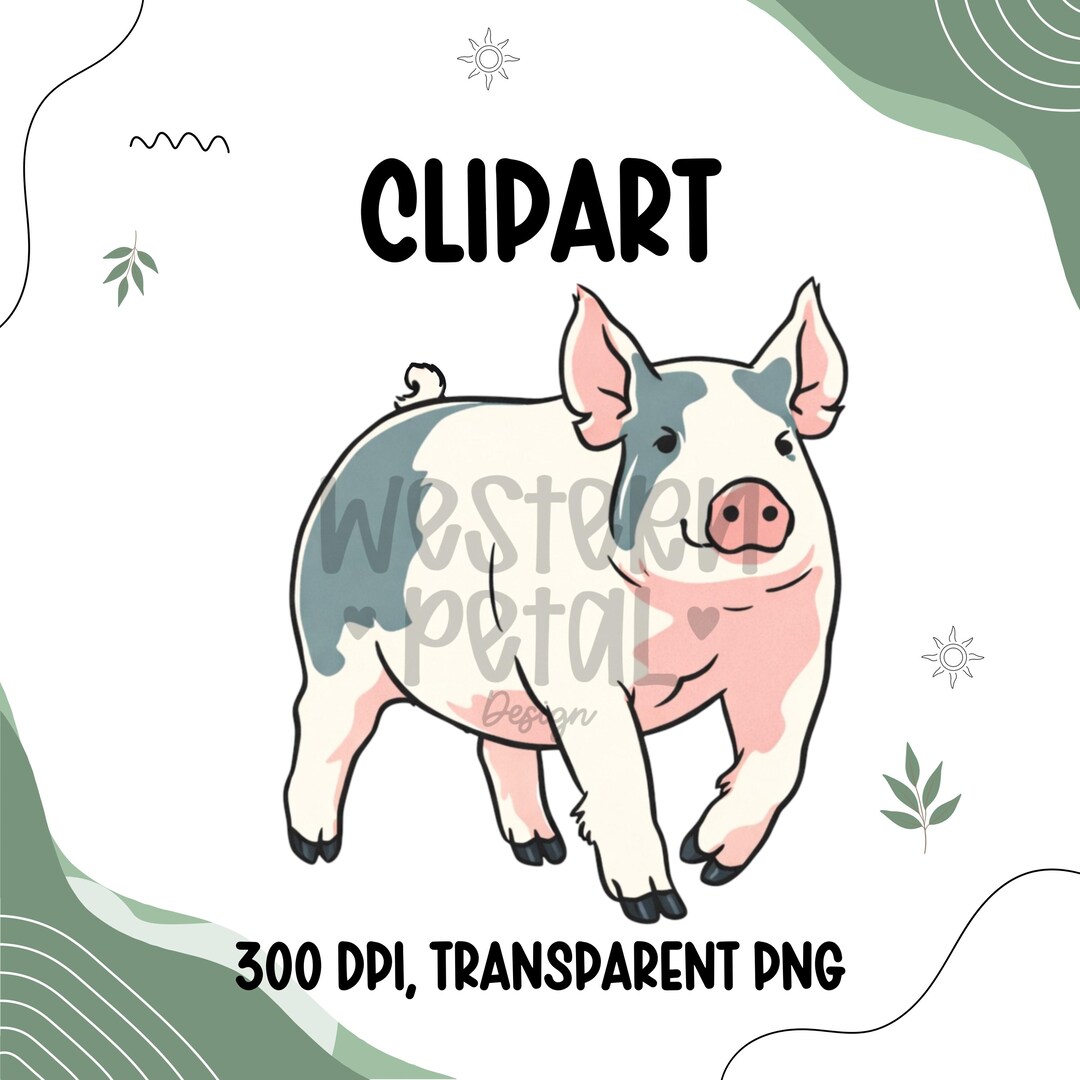 Show Pig Clipart PNG | 4H Livestock Illustration | Swine Graphic ...