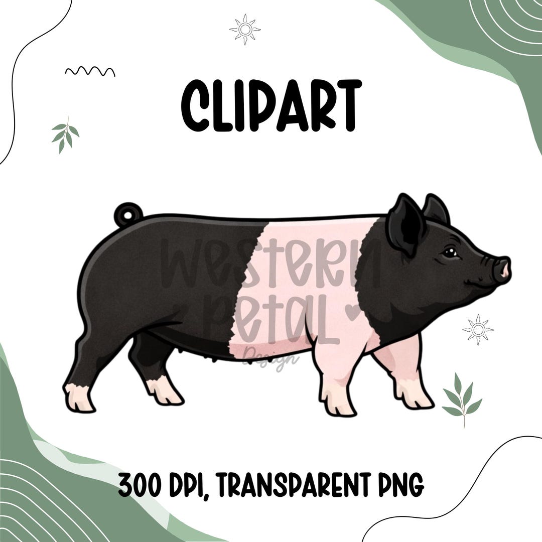 Show Pig Clipart PNG | 4H Livestock Illustration | Swine Graphic ...