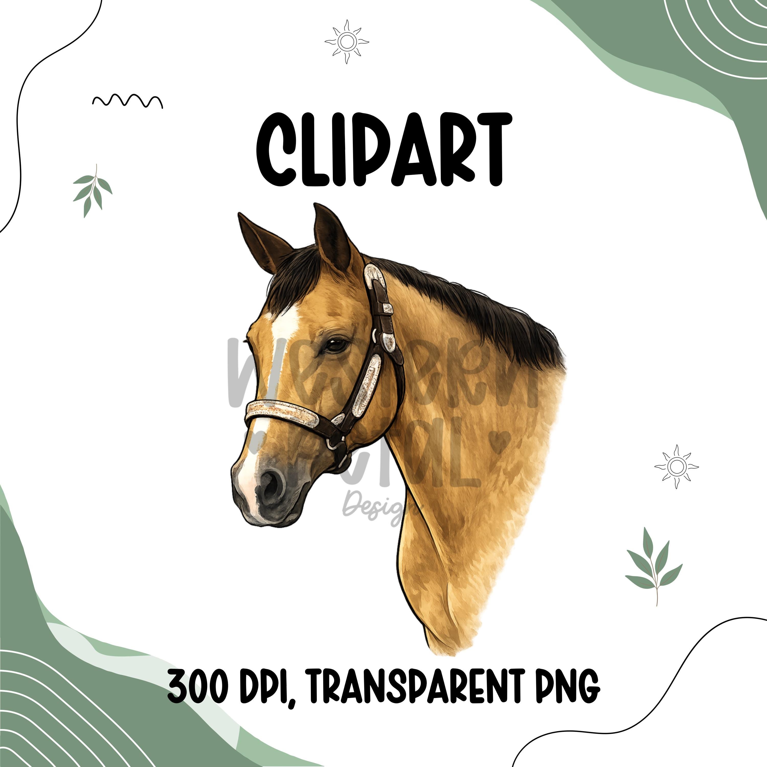 Horse Head Clipart PNG, Western Horse Illustration, Show Horse Head ...